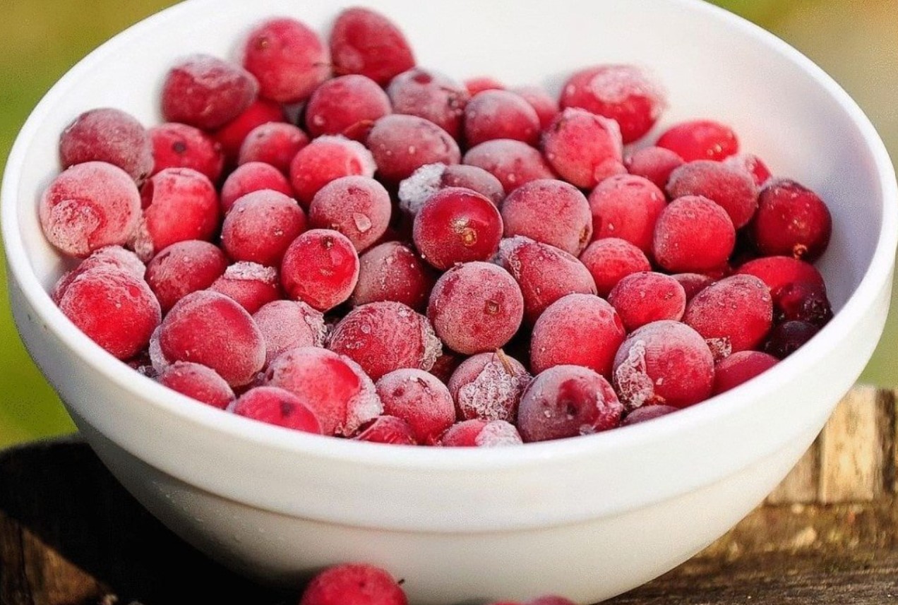 Easy Cranberry Mousse - Kitchen Cookbook